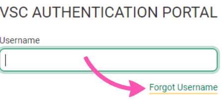 Account Login FAQ - VSC IT